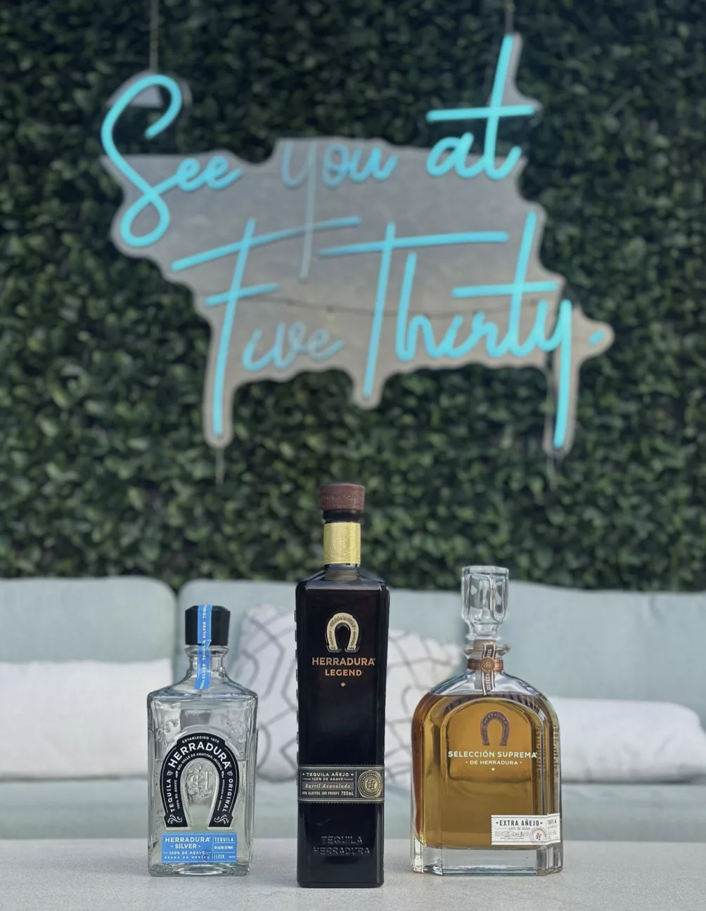Rooftop Tequila Tasting - New2Knox