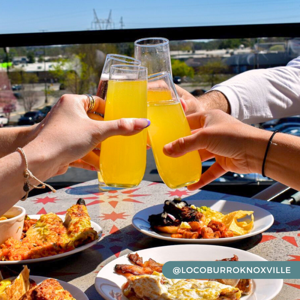 Discover Knoxville via New2Knox Blogs! - New2Knox